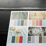 color palette
